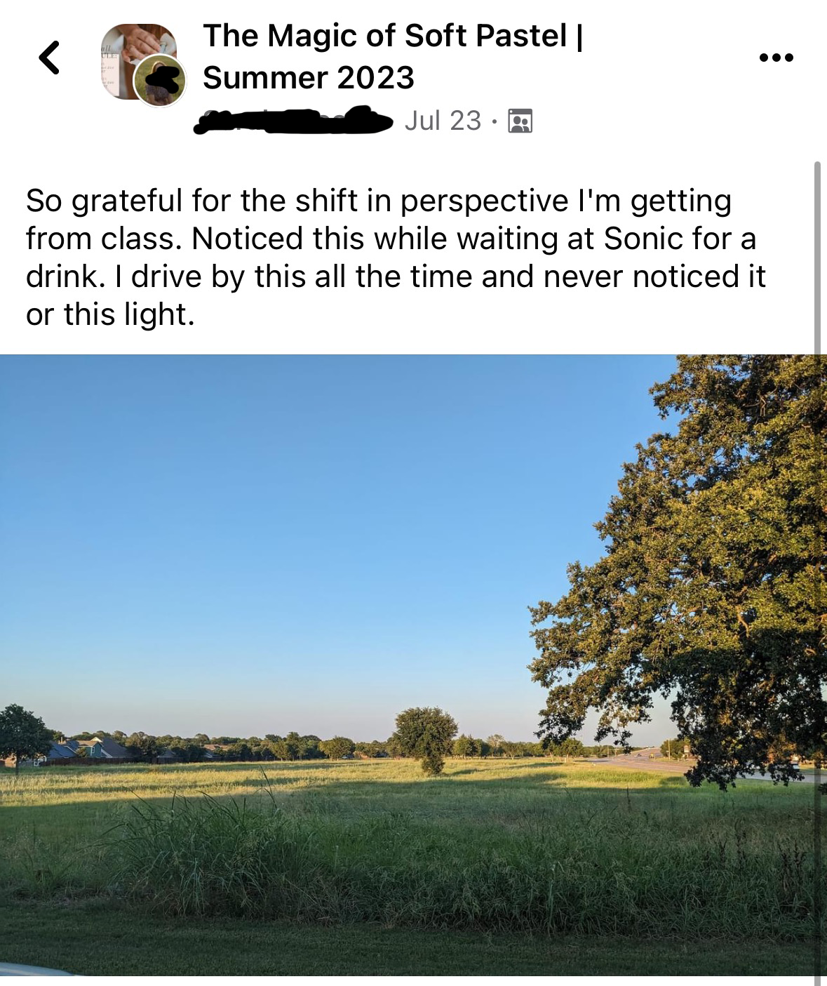 Learn how to paint with soft pastel | A Soft Pastel Course by Valerie ...